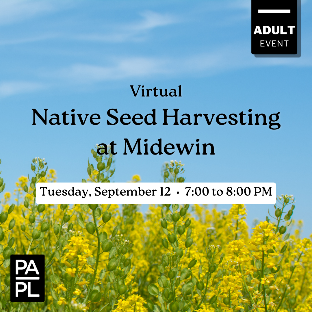Virtual Native Seed Harvesting | Plainfield Area Public Library